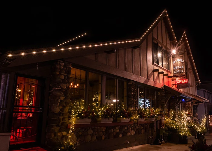 Night Owl Landscape Lighting | Outdoor Lighting & Audio