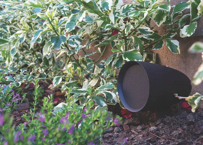Night Owl Landscape Lighting | Outdoor Lighting & Audio